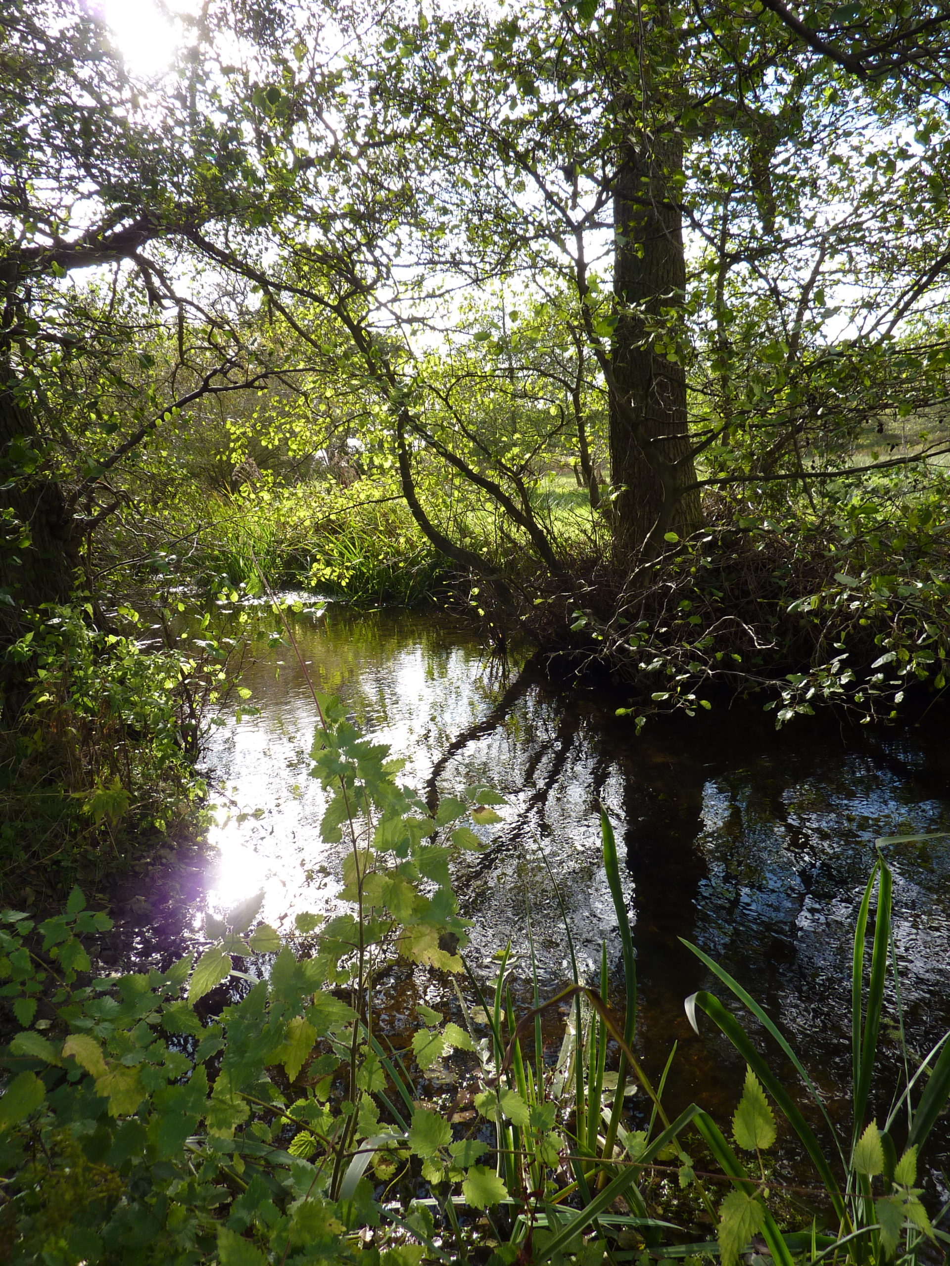 Sailors Path - Discover Suffolk