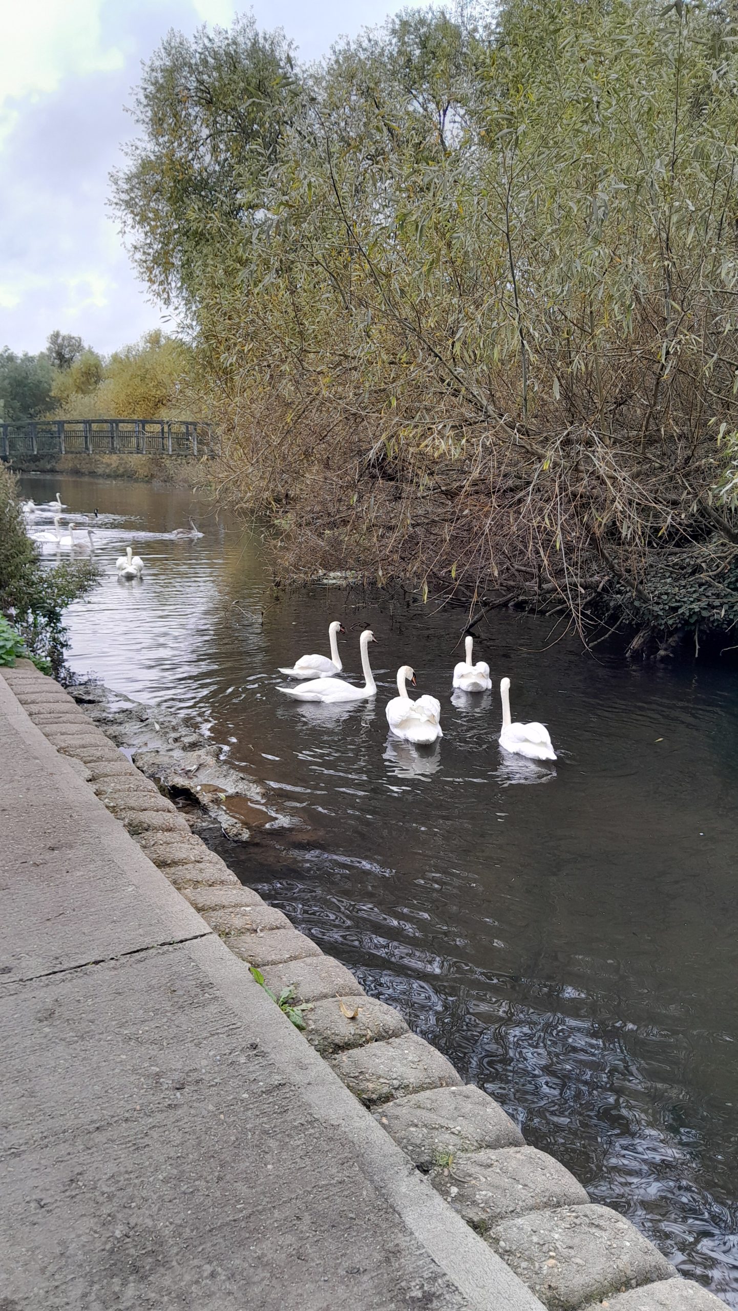 Easy Going Trails - Mildenhall Riverside - Discover Suffolk