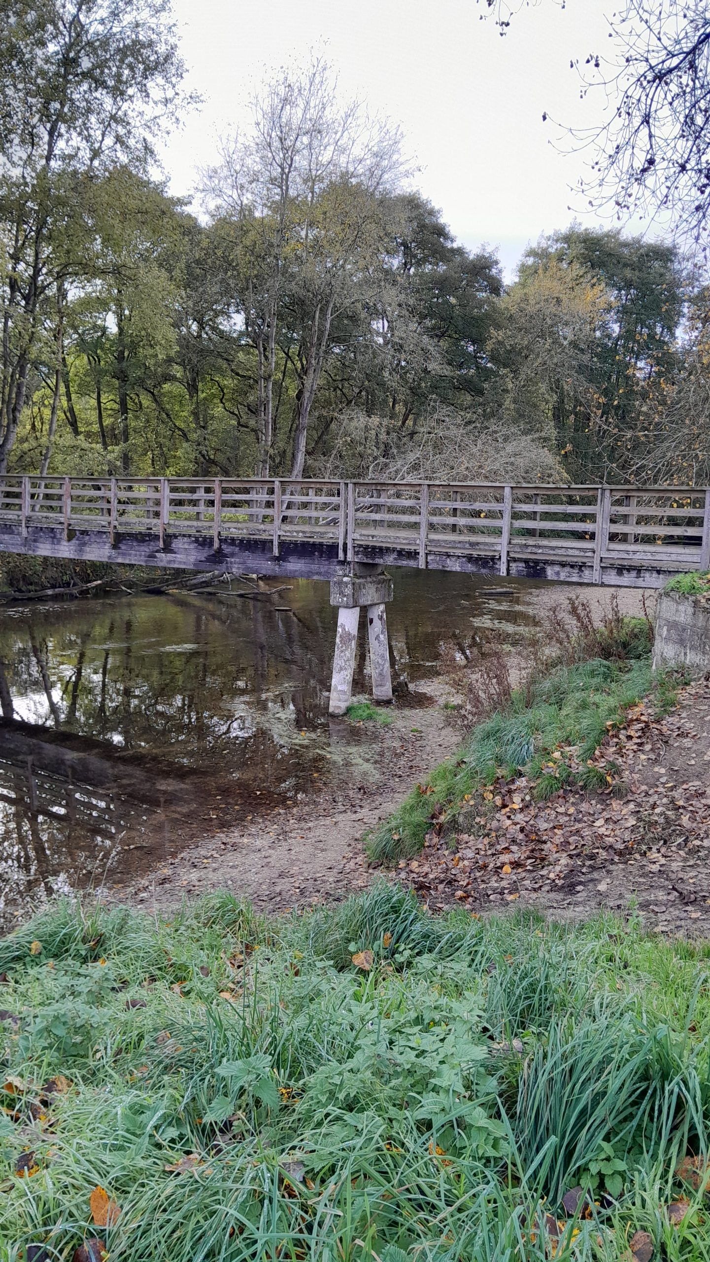 Easy Going Trail circular- Santon Downham - Discover Suffolk