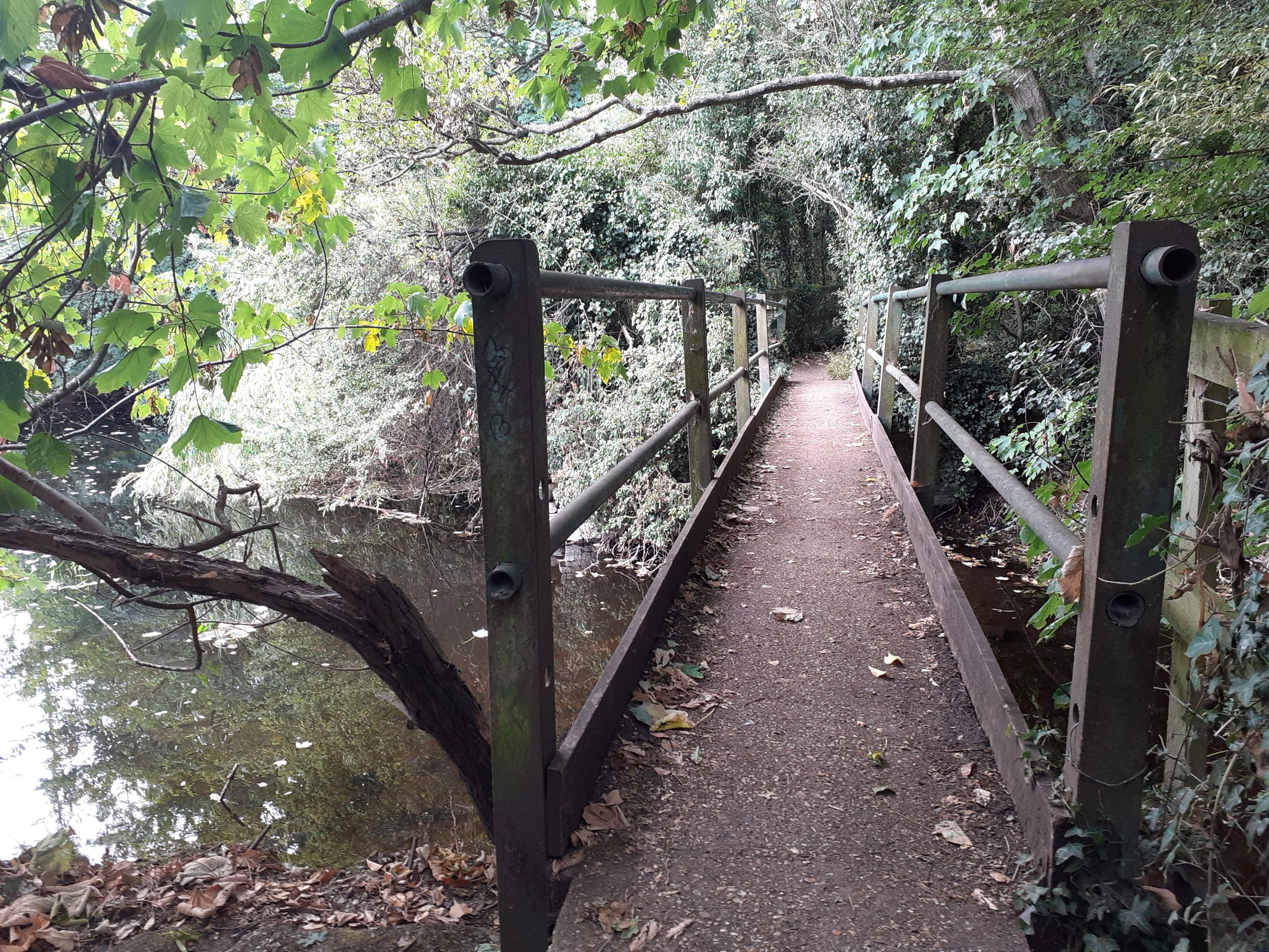 Mills and Meadows - Discover Suffolk