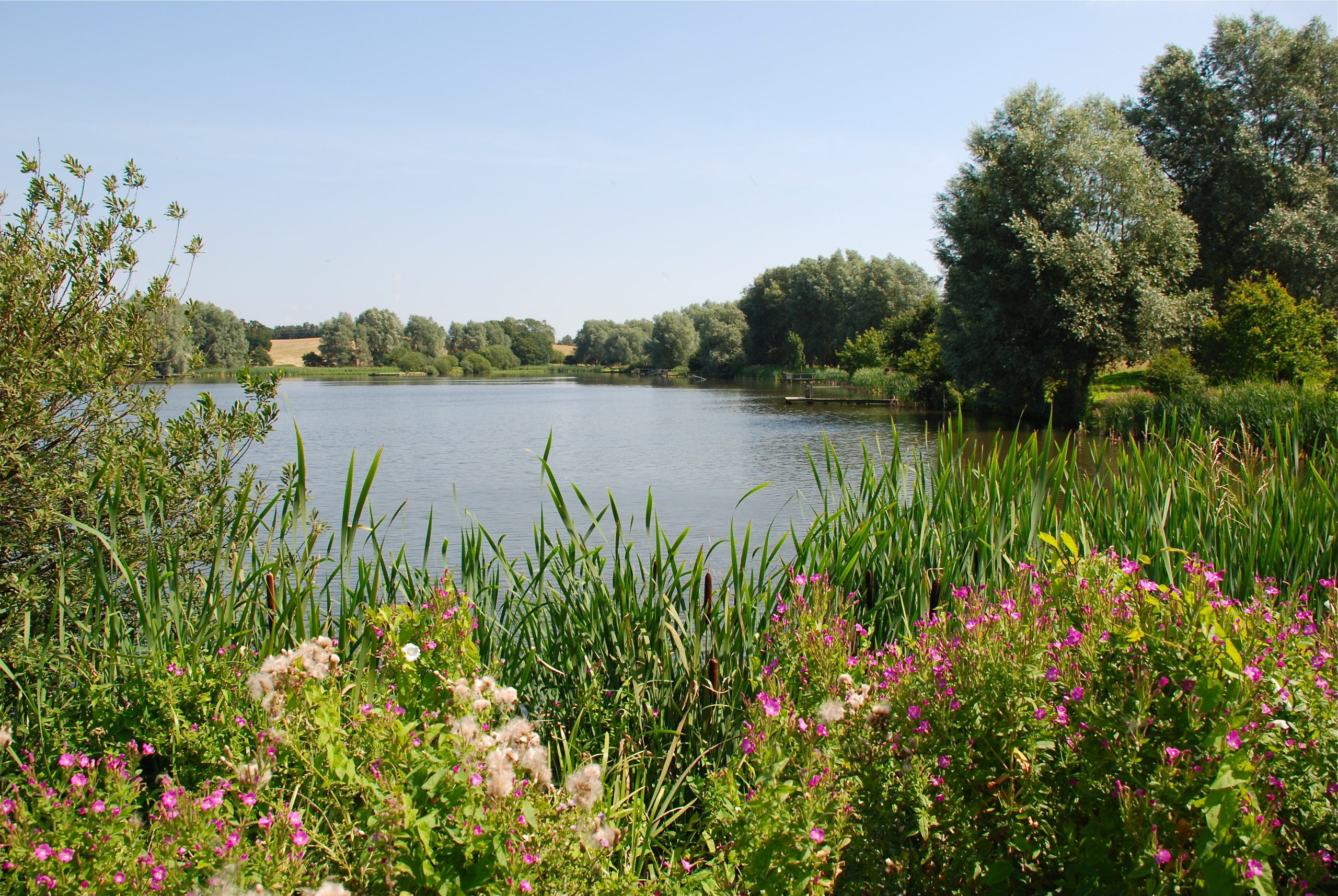 Trimley Circular Walk - Discover Suffolk