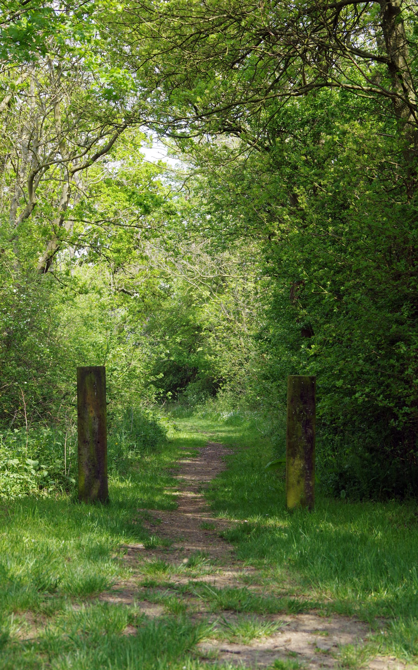 Botesdale and the Rickinghalls Circular Walks - Millenium Walk ...