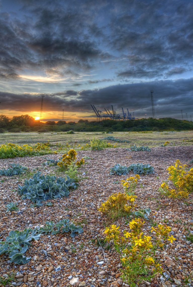 Landguard Peninsular & Felixstowe Circular Walk - Discover Suffolk