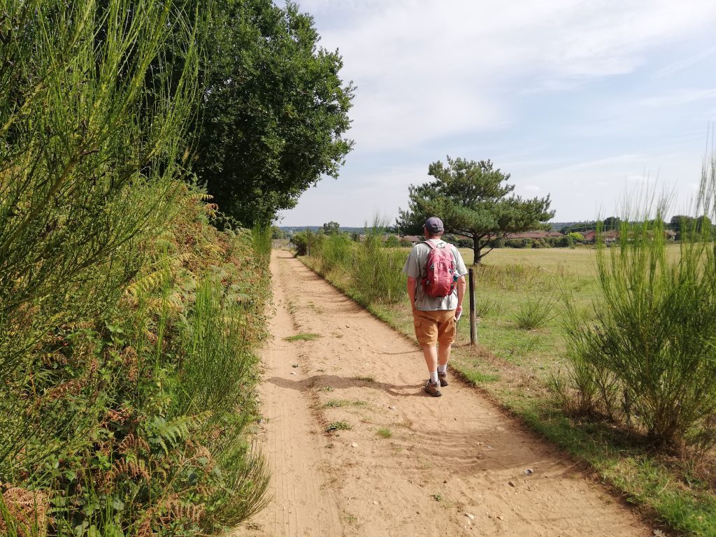 The Nine Stiles Walk - Brandon - Discover Suffolk
