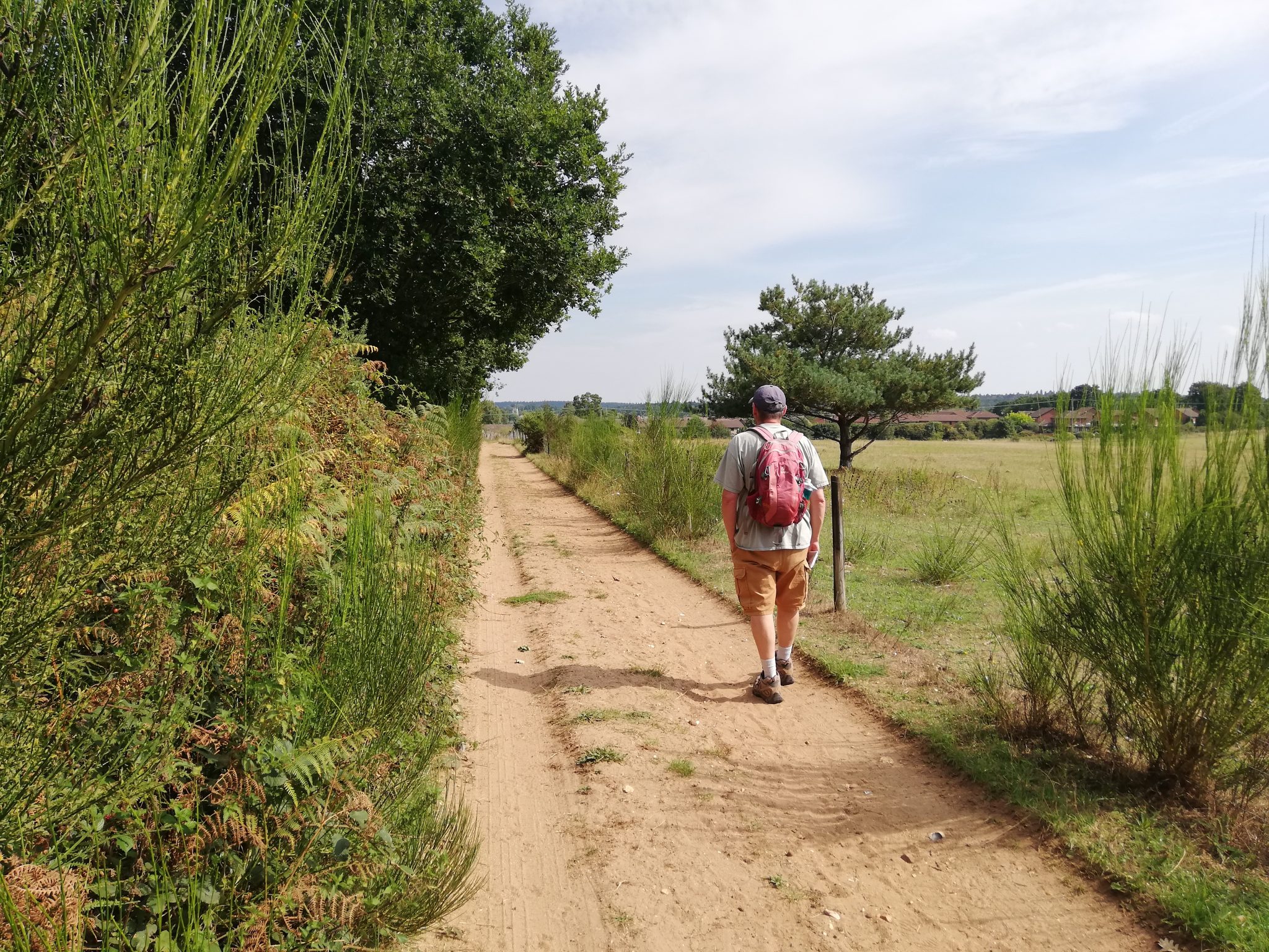 The Nine Stiles Walk - Brandon - Discover Suffolk