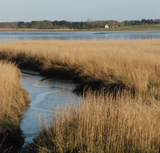 Sailors Path - Discover Suffolk