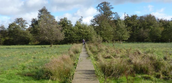 Sailors’ Path - Discover Suffolk